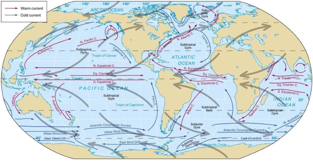 Circulation: Warm and Cold Currents – Geography – UGC NET Notes - THE ...